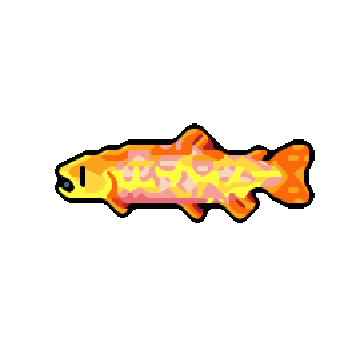 Tiger Trout | Chillquarium Wiki | Fandom