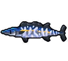 Wahoo | Chillquarium Wiki | Fandom