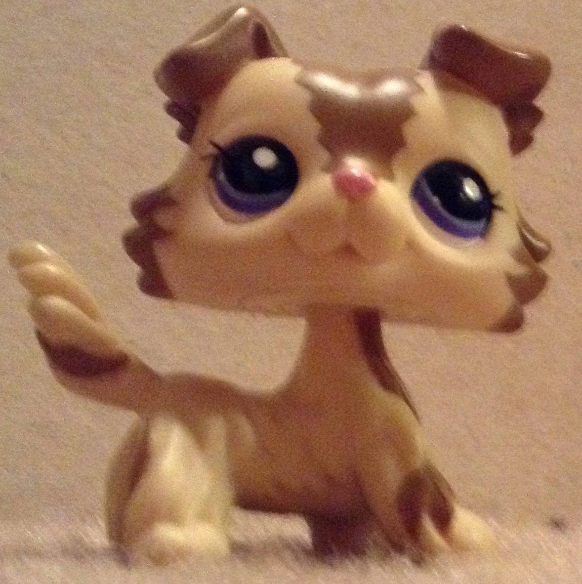 James Codney | ChillyCookie5 Wiki | Fandom