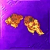 Blazing Pauldron | Chimeraland Wiki | Fandom