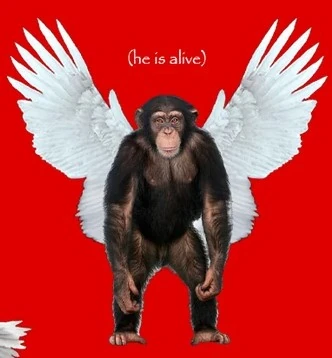 Flying Chimp | Chimp Bird Wiki | Fandom