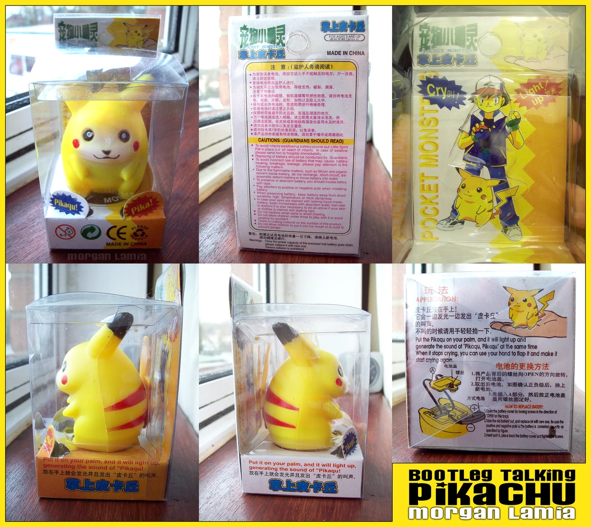 Pikaqu On the Palm | Chinafake Wiki | Fandom