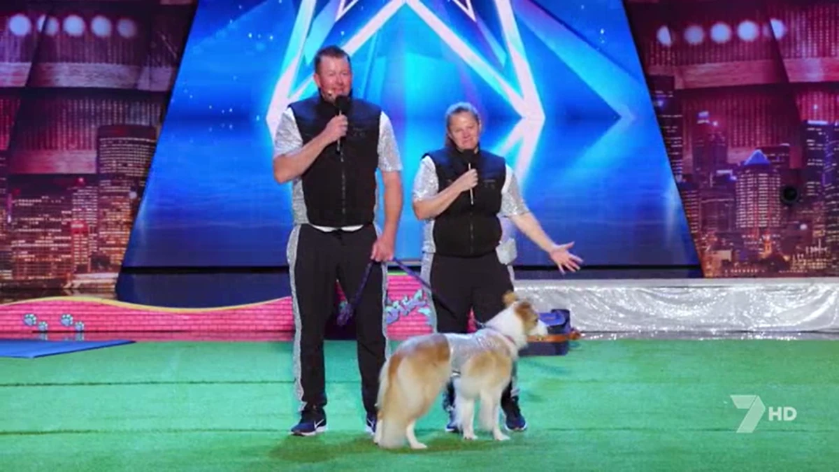 Flipping Disc Dogz | Chip's Got Talent Wiki | Fandom