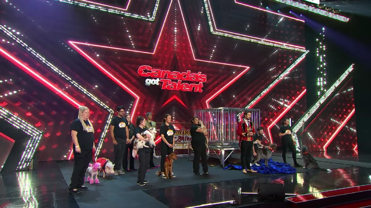 Canine Circus | Chip's Got Talent Wiki | Fandom