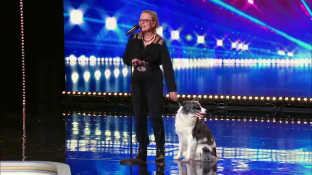 Episode Au801 | Chip's Got Talent Wiki | Fandom