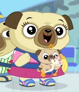Totsy Tot Pug/Gallery | Wiki Walk | Fandom