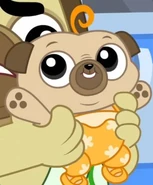 Totsy Tot Pug/Gallery | Wiki Walk | Fandom