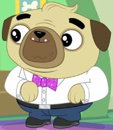 Little Poppa Pug/Gallery | Wiki Walk | Fandom