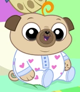 Totsy Tot Pug/Gallery | Wiki Walk | Fandom