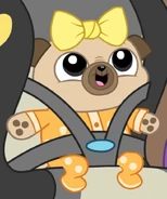 Totsy Tot Pug/Gallery | Wiki Walk | Fandom