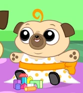 Totsy Tot Pug/Gallery | Wiki Walk | Fandom