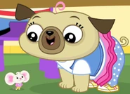 Chip Pug/Gallery | Wiki Walk | Fandom