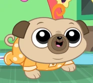 Totsy Tot Pug/Gallery | Wiki Walk | Fandom