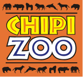 Chipi Zoo (Chipicao) | CHIPICAO Wiki | Fandom