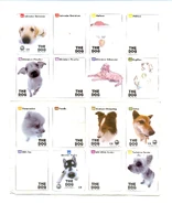 The Dog Chipicao | CHIPICAO Wiki | Fandom