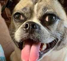 Joshua | Chipotle Wiki | Fandom