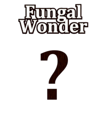 Fungal Wonder | Chipper & Sons Lumber Co. Wiki | Fandom