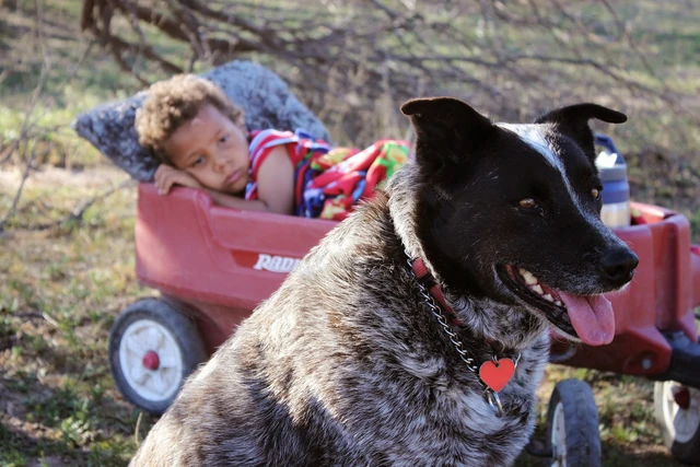 Decker Family | Decker Disney Wiki | Fandom