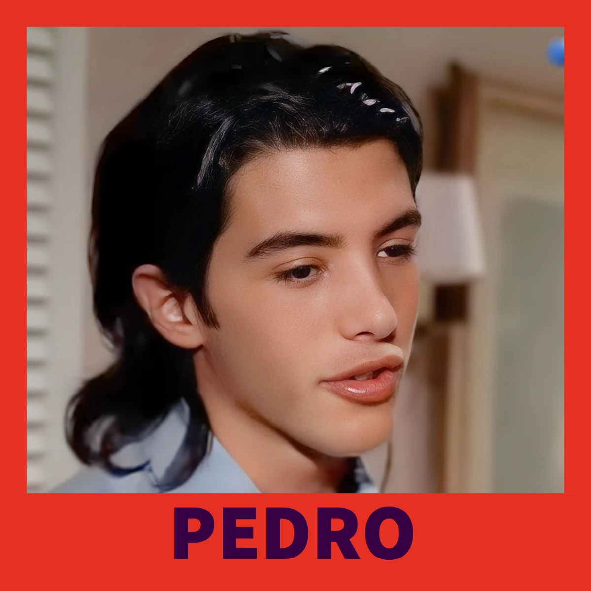 Pedro AR | ChiquiWiki Wiki | Fandom