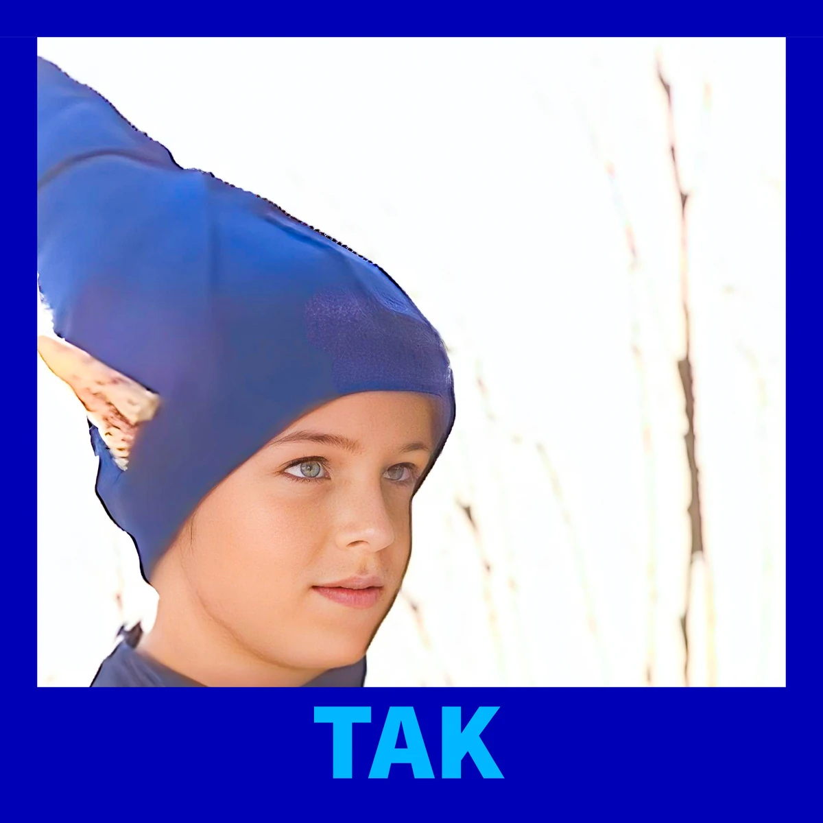 Tak | ChiquiWiki Wiki | Fandom