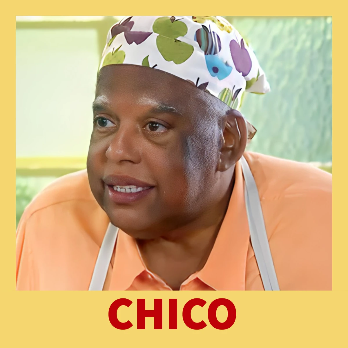 Chico BR 2013 | ChiquiWiki Wiki | Fandom