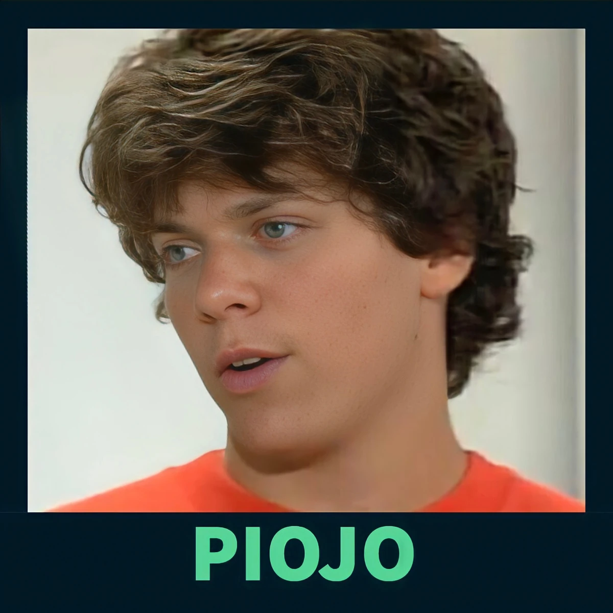 Piojo | ChiquiWiki Wiki | Fandom