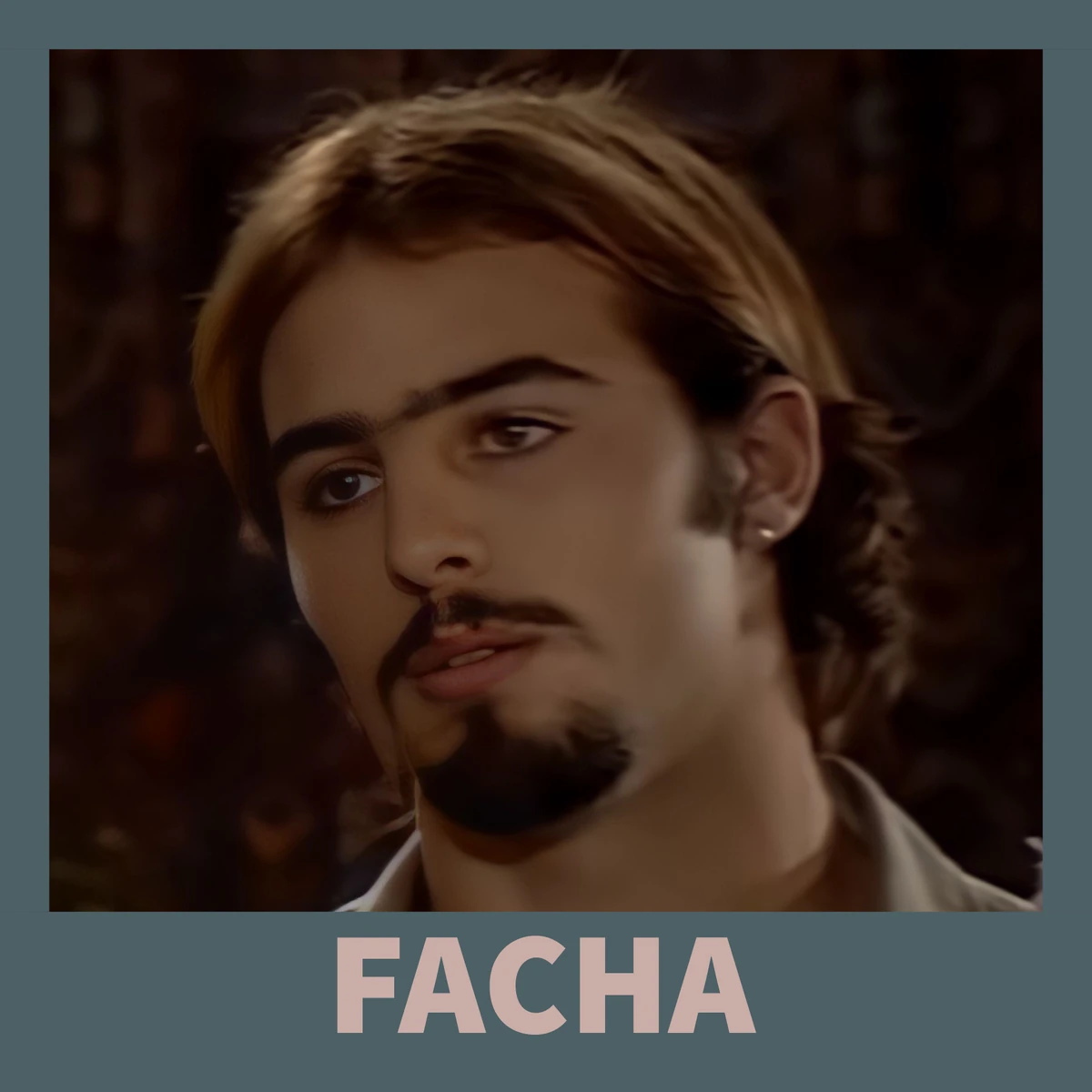 Facha | ChiquiWiki Wiki | Fandom