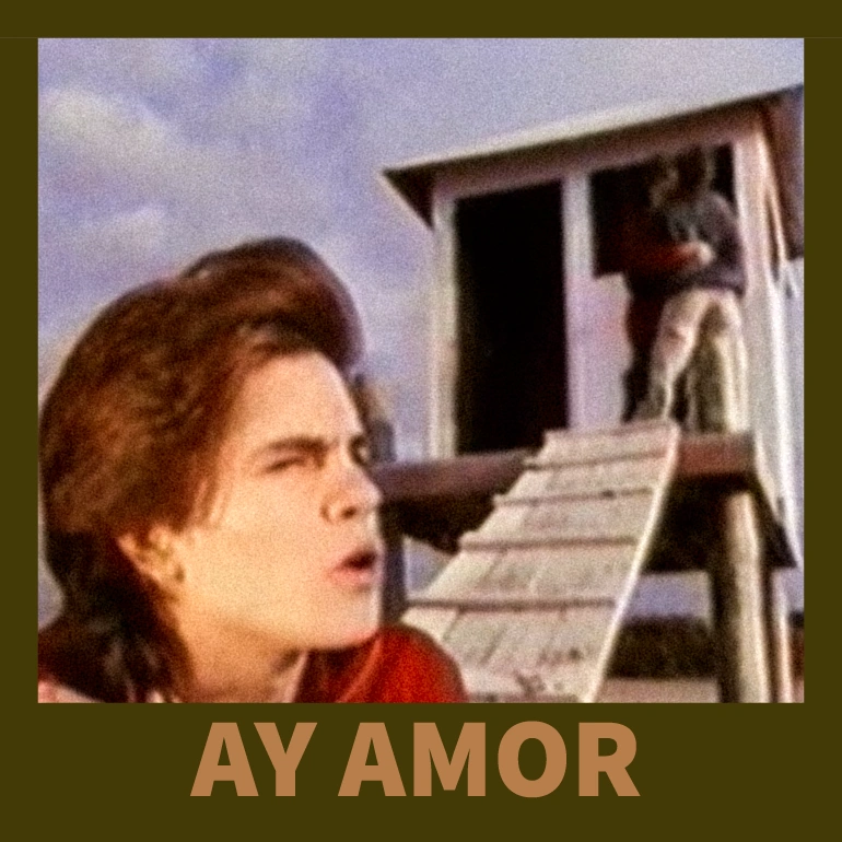 Ay Amor | ChiquiWiki Wiki | Fandom