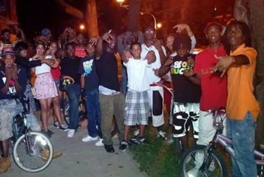 crip sets in brooklyn