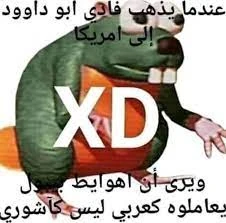 Rato XD | Wiki Chisdechisde | Fandom