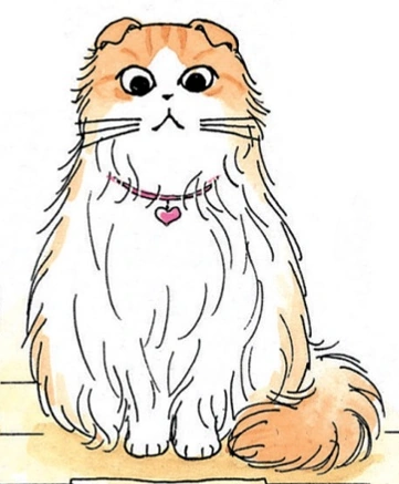 Alice | Chi's Sweet Wiki | Fandom