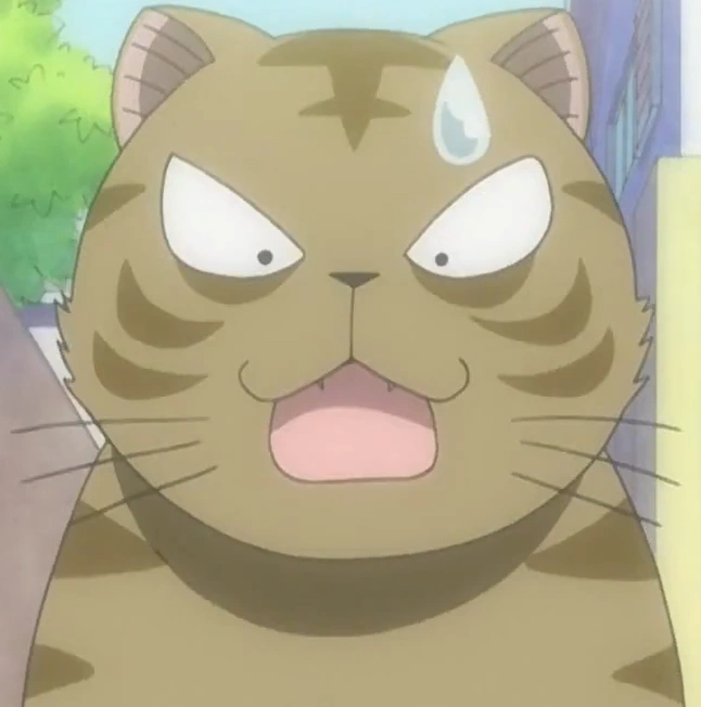 Tora | Chi's Sweet Wiki | Fandom