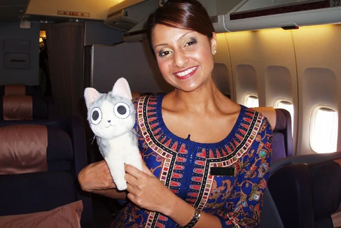 Chi's Sweet Travel | Chi's Sweet Wiki | Fandom