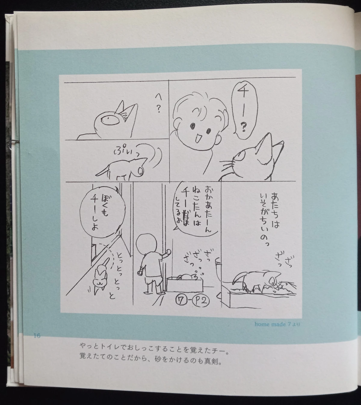 Minna Sai Shohakone Neko Datta: Chi's Sweet Home Shashin Shu/Gallery | Chi's Sweet Wiki | Fandom