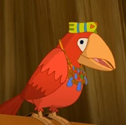 Parrot Choir Leader | Chloe's Closet Wiki | Fandom