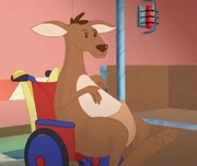 Mama Roo | Chloe's Closet Wiki | Fandom