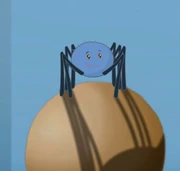 Spider | Chloe's Closet Wiki | Fandom