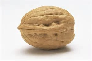 Walnut | Chocolate Wiki | Fandom