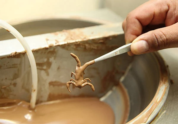 Chocolate Covered Insects | Chocolate Wiki | Fandom