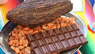 Category:Parts of Chocolate | Chocolate Wiki | Fandom