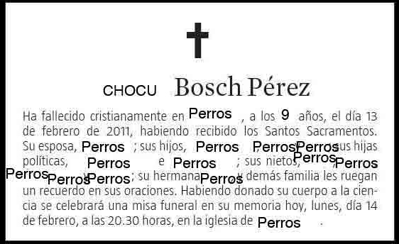 Perros Wikia Chocu Fandom
