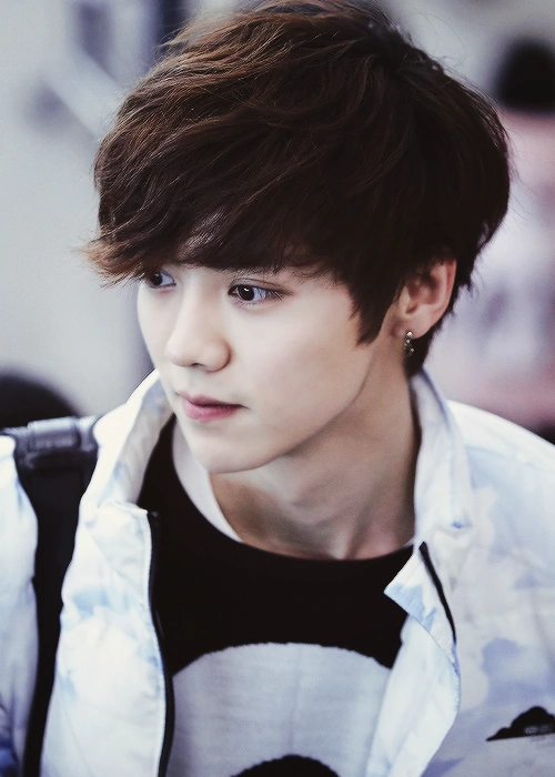 Lu Han | Choi Family RP Wiki | Fandom