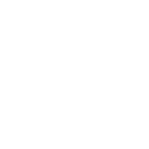 Оружие | RU Choice Chamber Вики | Fandom