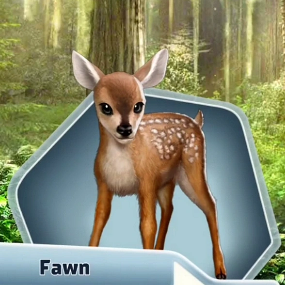 Wolf Bride Adoptable Animals | Choices: Stories You Play Wiki | Fandom