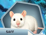 Saffron | Choices: Stories You Play Wiki | Fandom