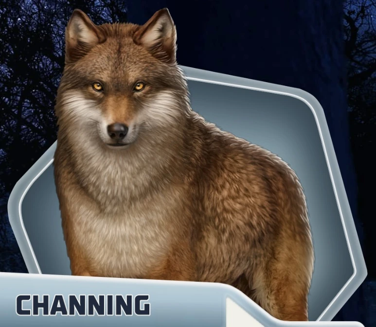 Werewolves (Alpha) | Choices: Stories You Play Wiki | Fandom