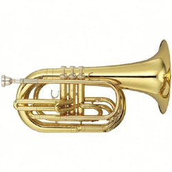 Gallery:Baritone | Choir and Music Wiki | Fandom