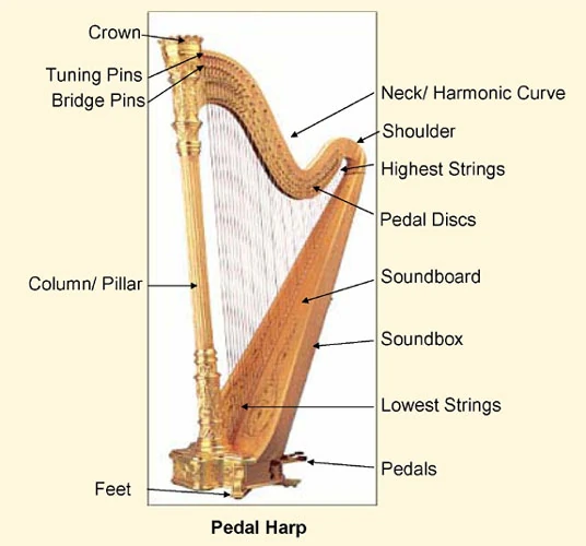 Gallery:Harp | Choir and Music Wiki | Fandom