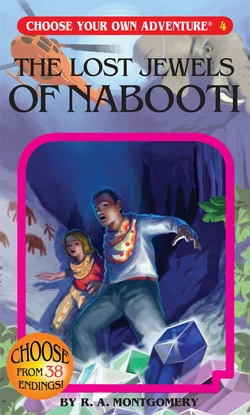 The Lost Jewels of Nabooti | Choose Your Own Adventure Wiki | Fandom
