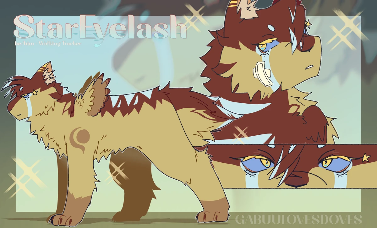 StarEyelash | Wiki Chosen Stars | Fandom